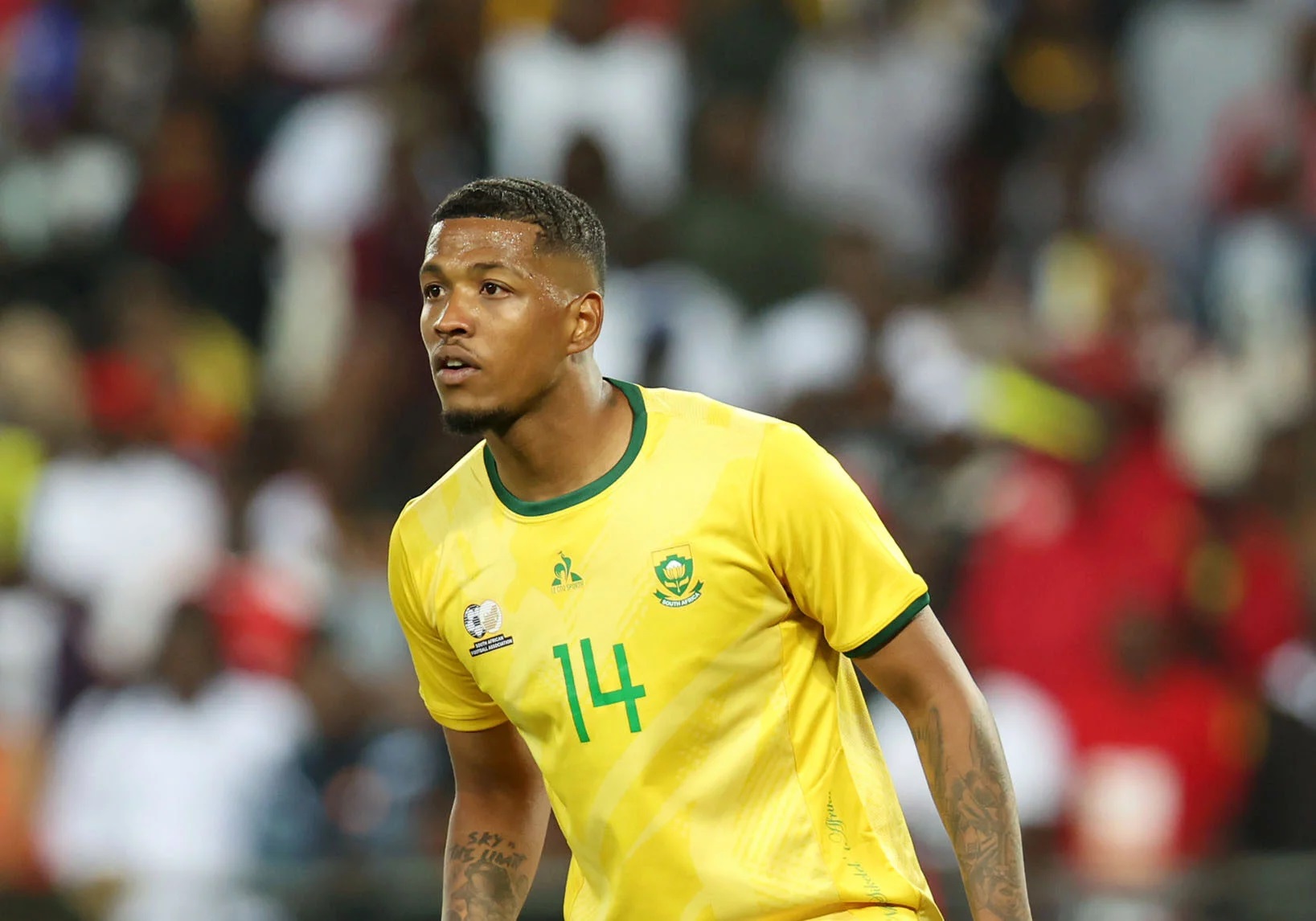 Hugo Broos Praises Rushwin Dortley's Debut For Bafana | Sbnews
